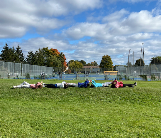 Home - Bayridge Public School